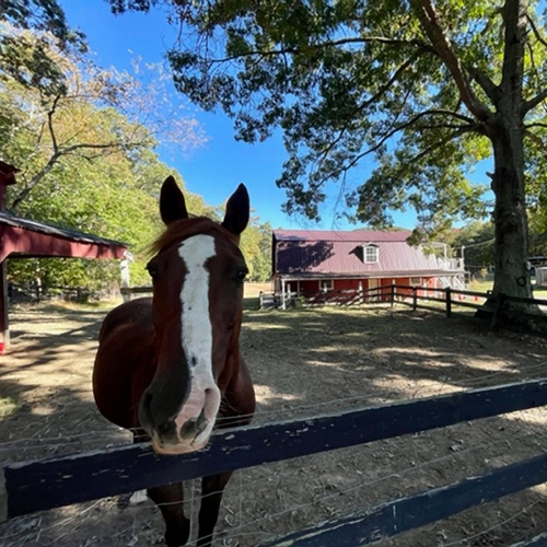 Reb Barn B&B - Path of Light Center